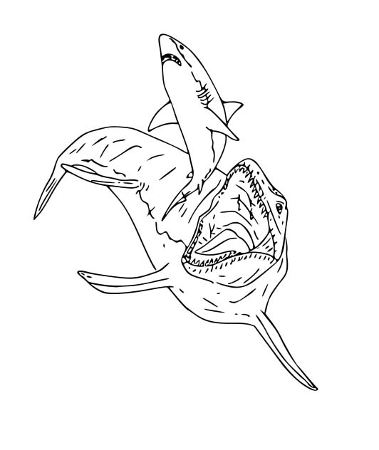 Mosasaurus für Kinder Ausmalbilder. Kostenlos herunterladen, ausdrucken ...