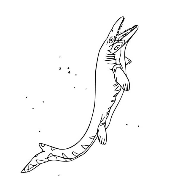 Mosasaurus für Kinder Ausmalbilder. Kostenlos herunterladen, ausdrucken ...
